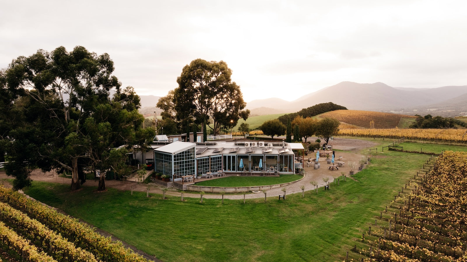 Cellar Door – Soumah Wines - Yarra Valley